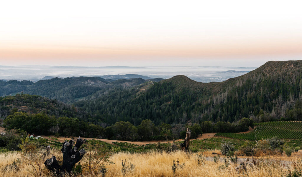 Home - Mayacamas Vineyards